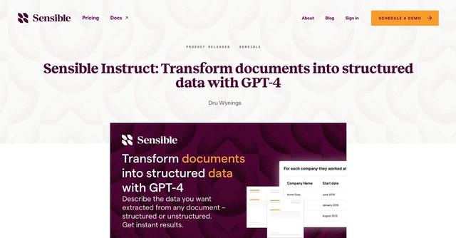 Sensible Instruct - Sensible Instruct is an AI-powered document understanding tool, powered by GPT-4