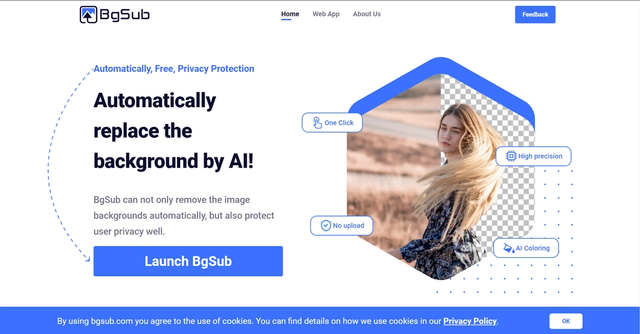 BgSub - Remove or replace backgrounds from images with automatic color compensation.